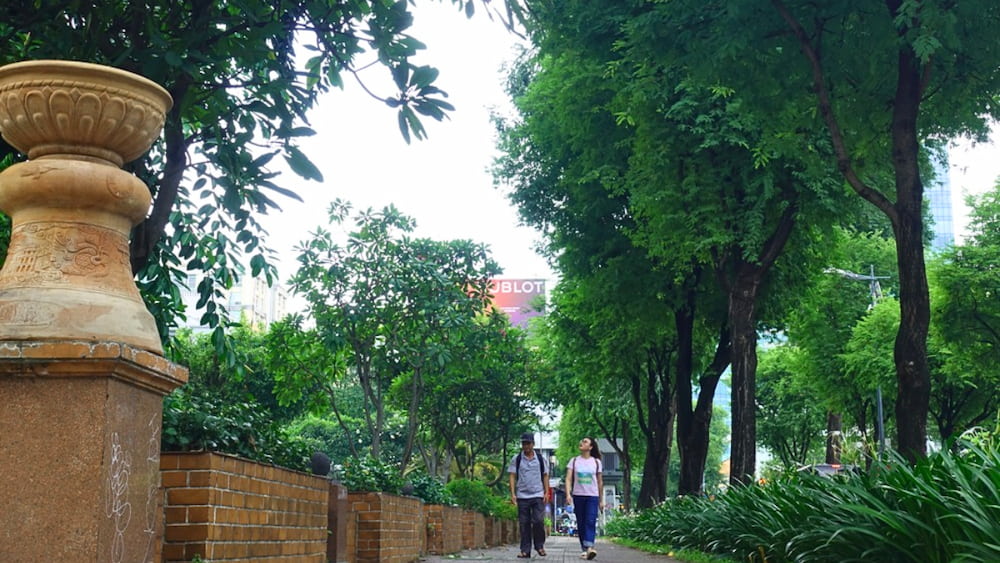Công viên Bách Tùng Diệp: Không gian xanh yên bình tại Quận 1 | Green SM