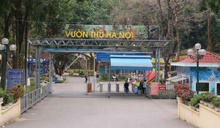 Top hoạt động thú vị tại Hồ Ngọc Khánh bạn không nên bỏ lỡ | Xanh SM