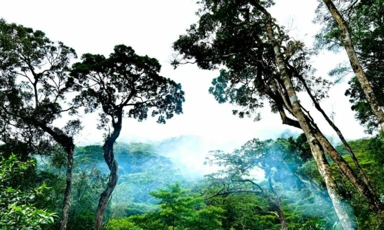 Vườn Quốc gia Chư Yang Sin – Hành trình chinh phục đại ngàn | Green SM