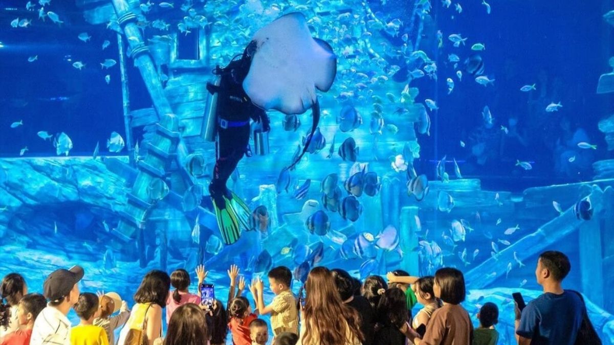 Khám phá thuỷ cung Lotte Tây Hồ: Giá vé và thông tin chi tiết | Xanh SM