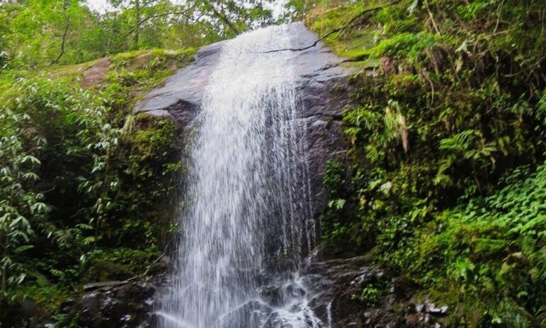 Vườn Quốc gia Chư Yang Sin – Hành trình chinh phục đại ngàn | Green SM