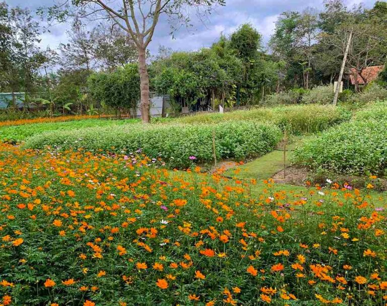 Khám phá vẻ đẹp khu du lịch sinh thái Troh Bư - Buôn Đôn | Xanh SM