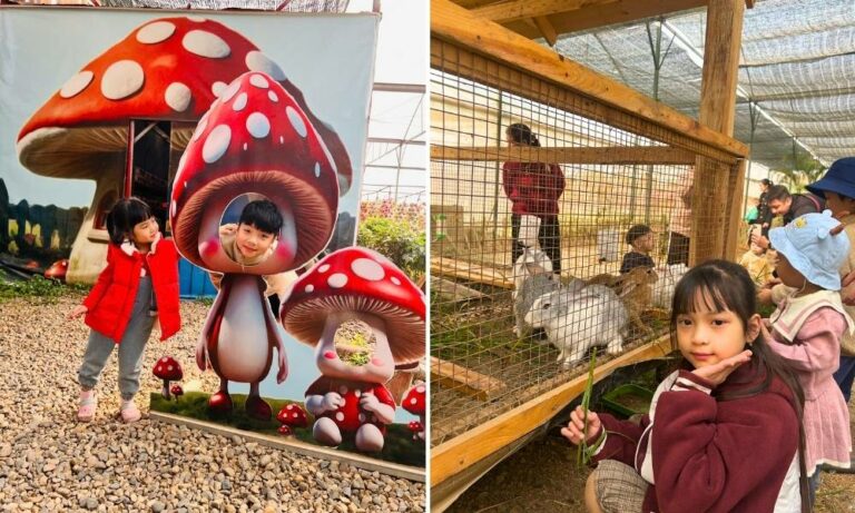 Chimi Farm 4 cầu Nhật Tân: Trải nghiệm nông trại ngay tại Hà Nội | Xanh SM