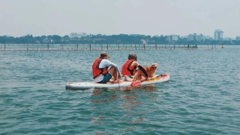 Trải nghiệm chèo SUP Hồ Tây - Môn thể thao lý thú, chơi cực đã | Xanh SM